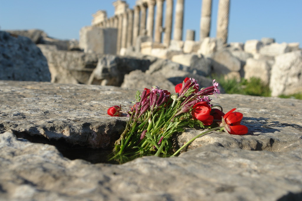 When Not To Shift – Life Untapped with Stacy Hawkins Adams